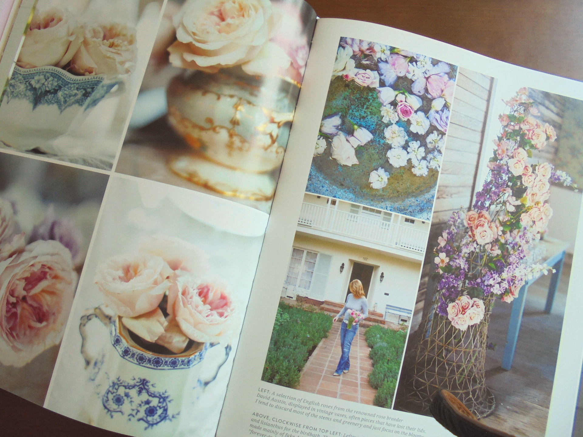 シャビーシックな植物といえば: The Official Dear Garden Blog